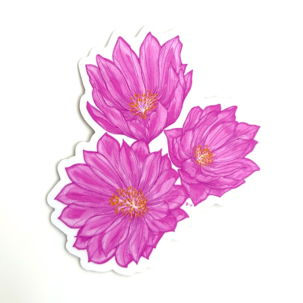 Bitterroot Flower - Etsy