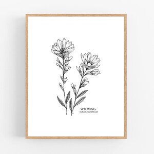 Wyoming Indian Paintbrush Ink Illustration / Indian Paintbrush Drawing ...