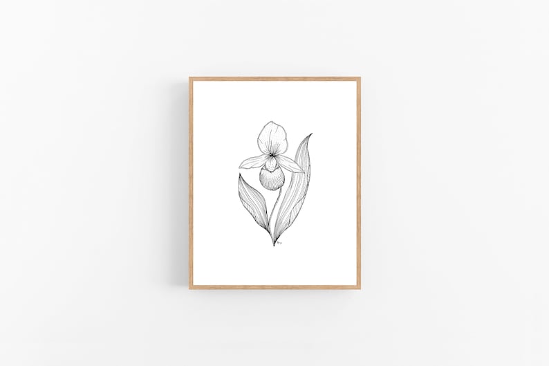 Pink and White Lady's Slipper Illustration Print / Printable / Art ...