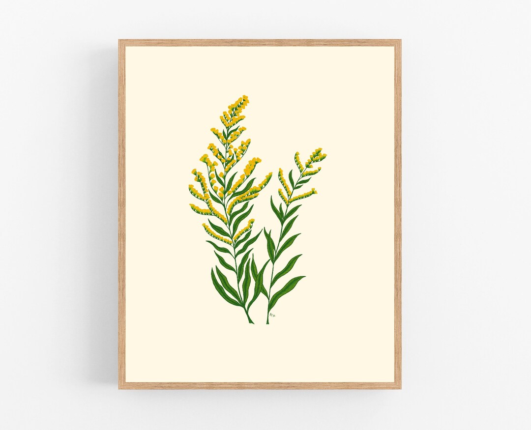 Goldenrod Illustration Print / Printable / Art / Digital Download ...