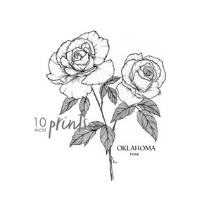 Oklahoma Rose Ink Illustration Print / Printable / Art / Digital ...