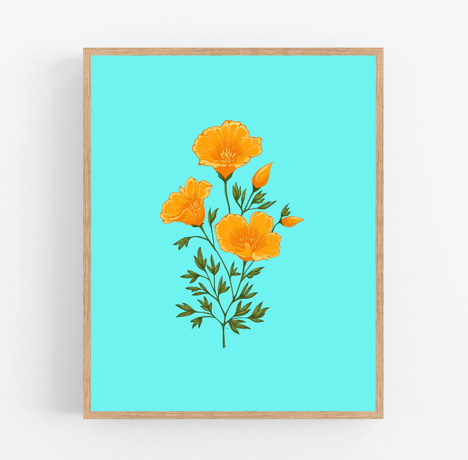 California Poppy Illustration / Printable / Art / Digital Download ...