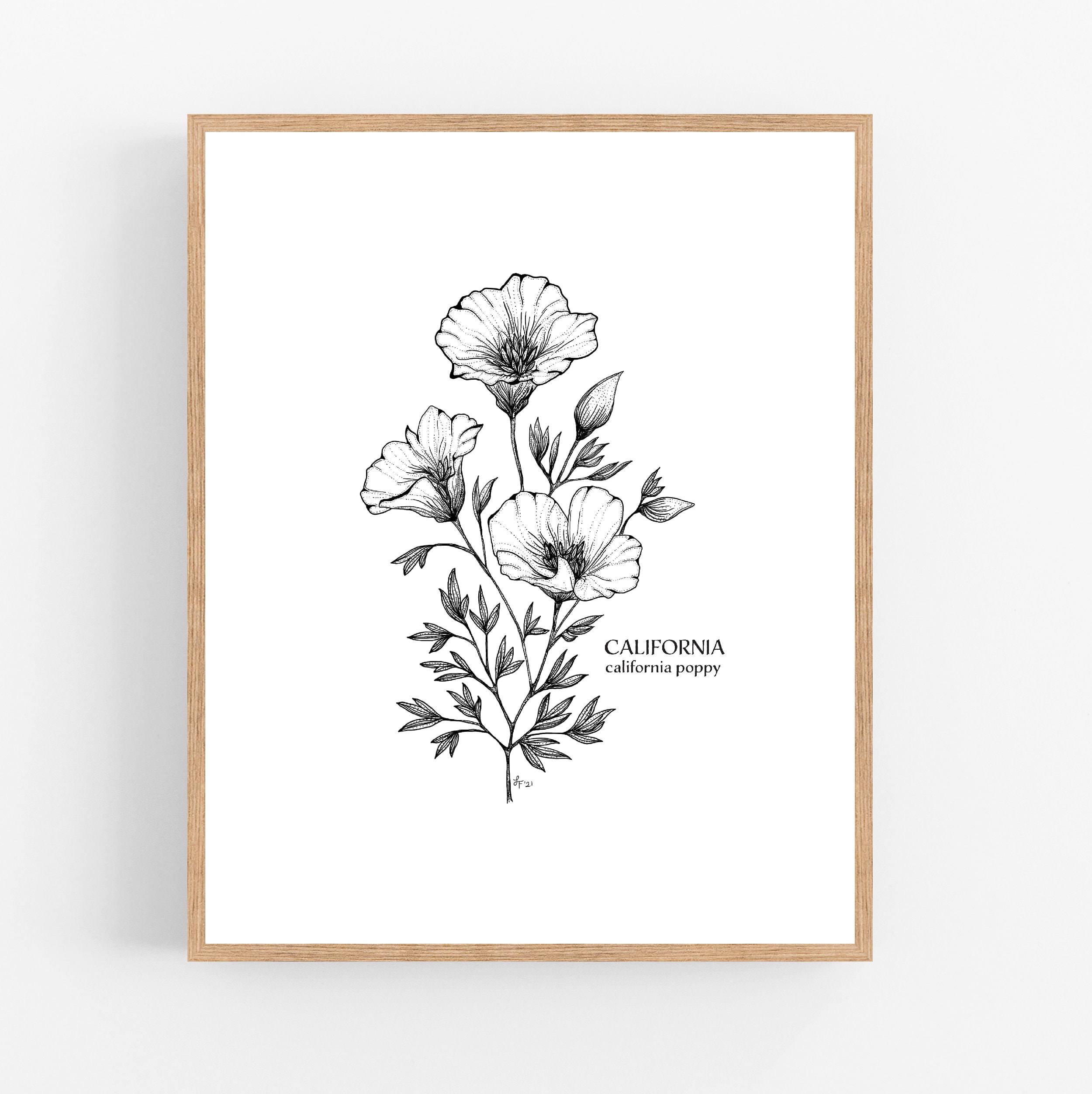 California Poppy Ink Sketch Print / Printable / Art / Digital Download ...