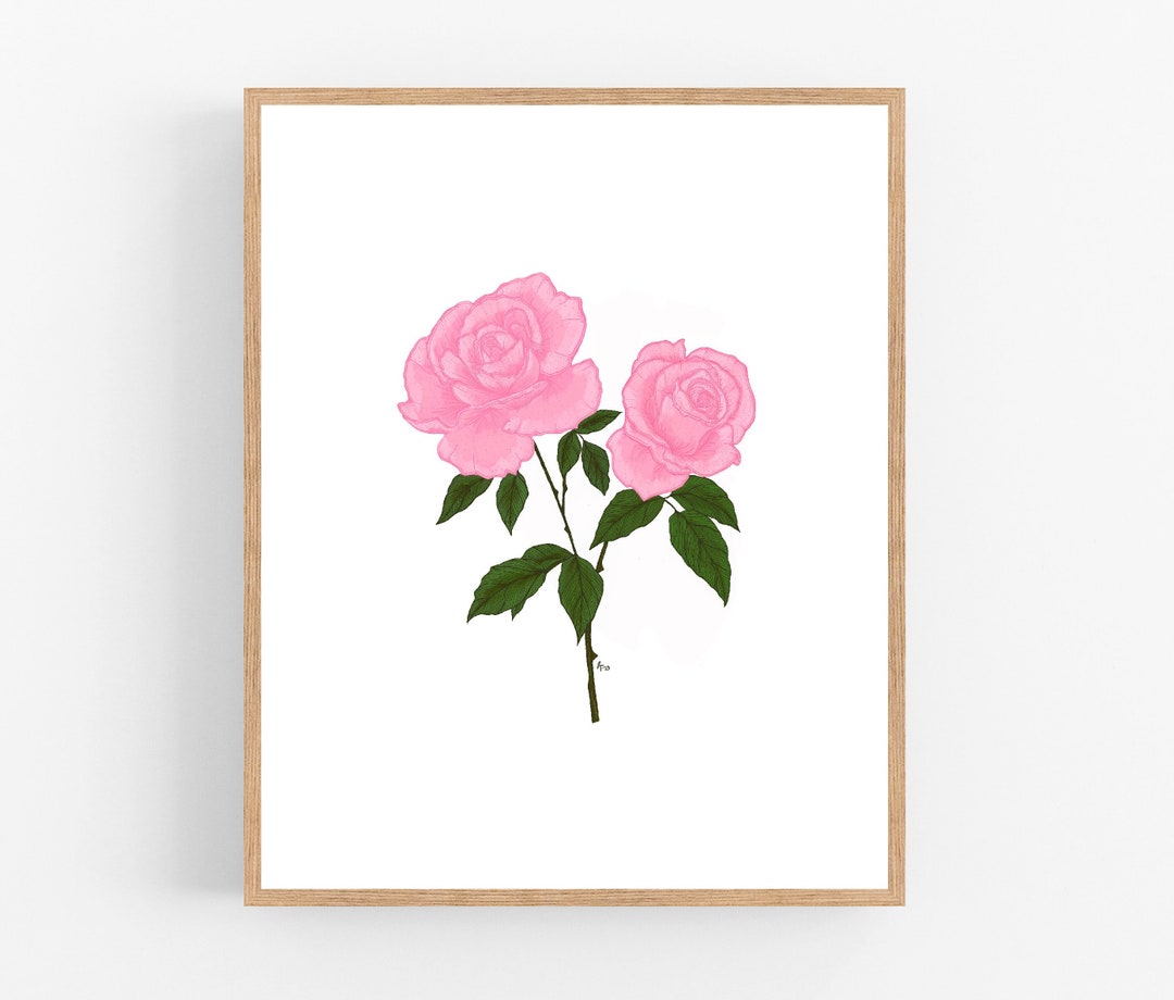 Pink Rose Color Illustration / Printable / Art / Digital Download ...