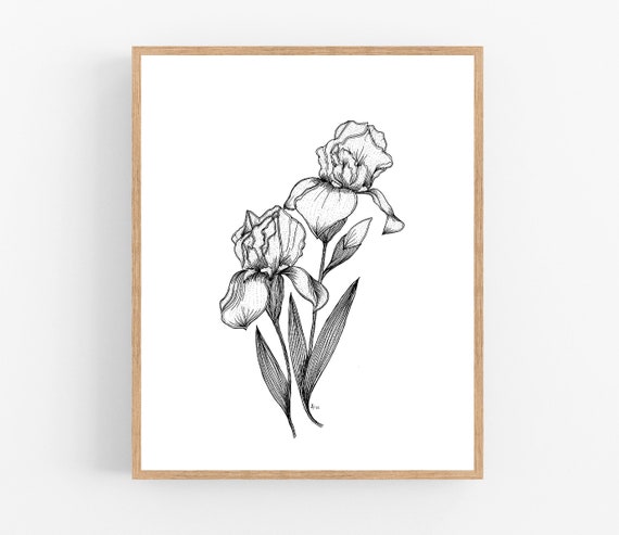 Iris Ink Sketch Illustration Print / Printable / Art / Digital | Etsy