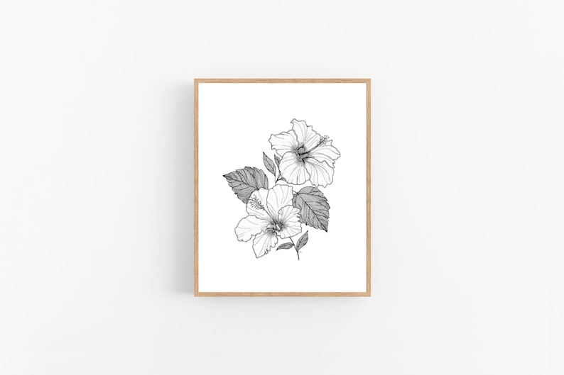 Hibiscus Ink Sketch Print / Printable / Art / Digital Download ...