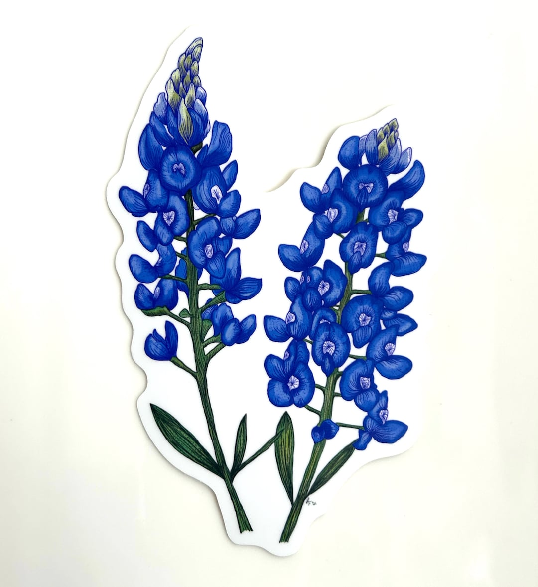 MEDIUM 6" Bluebonnet Vinyl Sticker / Waterproof Vinyl Bluebonnet Decal ...