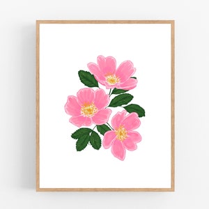 Wild Prairie Rose Illustration Print / Printable / Art / Digital ...