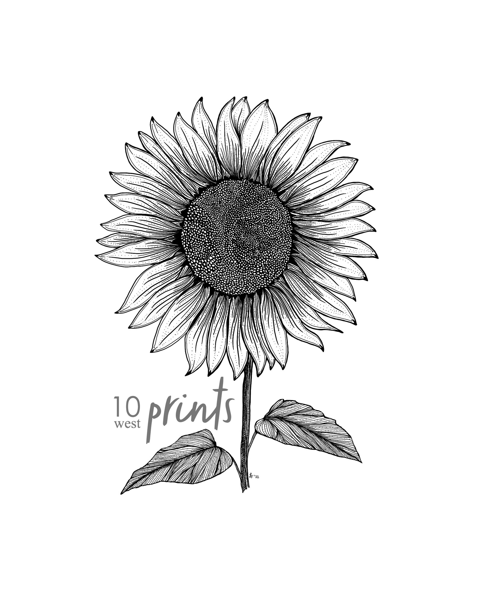 Sunflower Ink Sketch Print / Kansas State Flower Printable / - Etsy