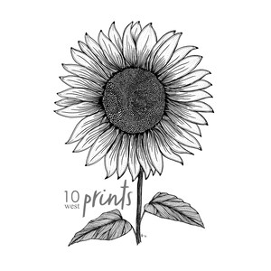 Sunflower Ink Sketch Print / Kansas State Flower Printable / Art ...
