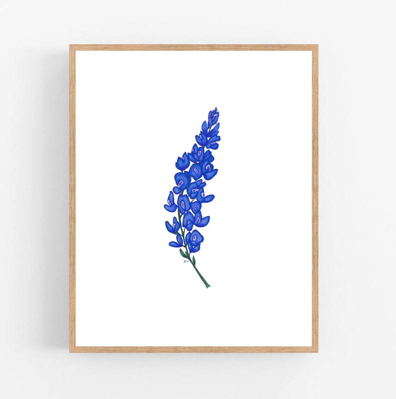 Single Bluebonnet Illustration / Printable / Art / Digital - Etsy
