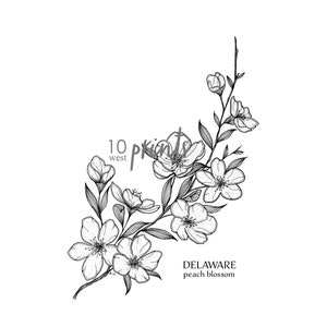 Delaware Peach Blossom Ink Illustration / Peach Blossom Print Drawing ...