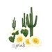 Saguaro Cactus Blossom Illustration Print / Printable / Art / Digital ...