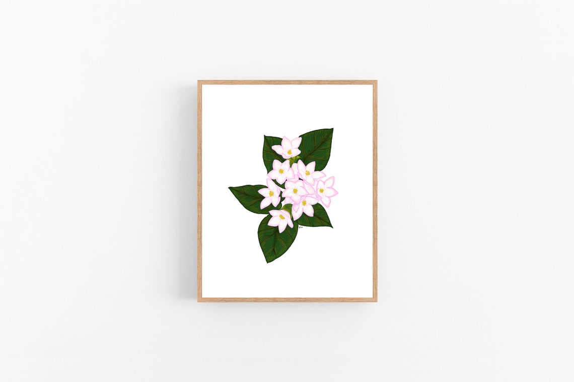 Mayflower Color Illustration / Printable / Art / Digital - Etsy