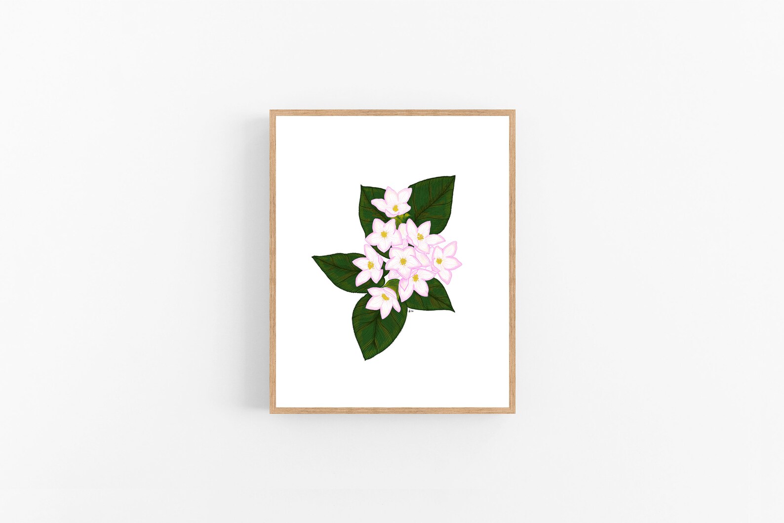 Mayflower Color Illustration / Printable / Art / Digital - Etsy