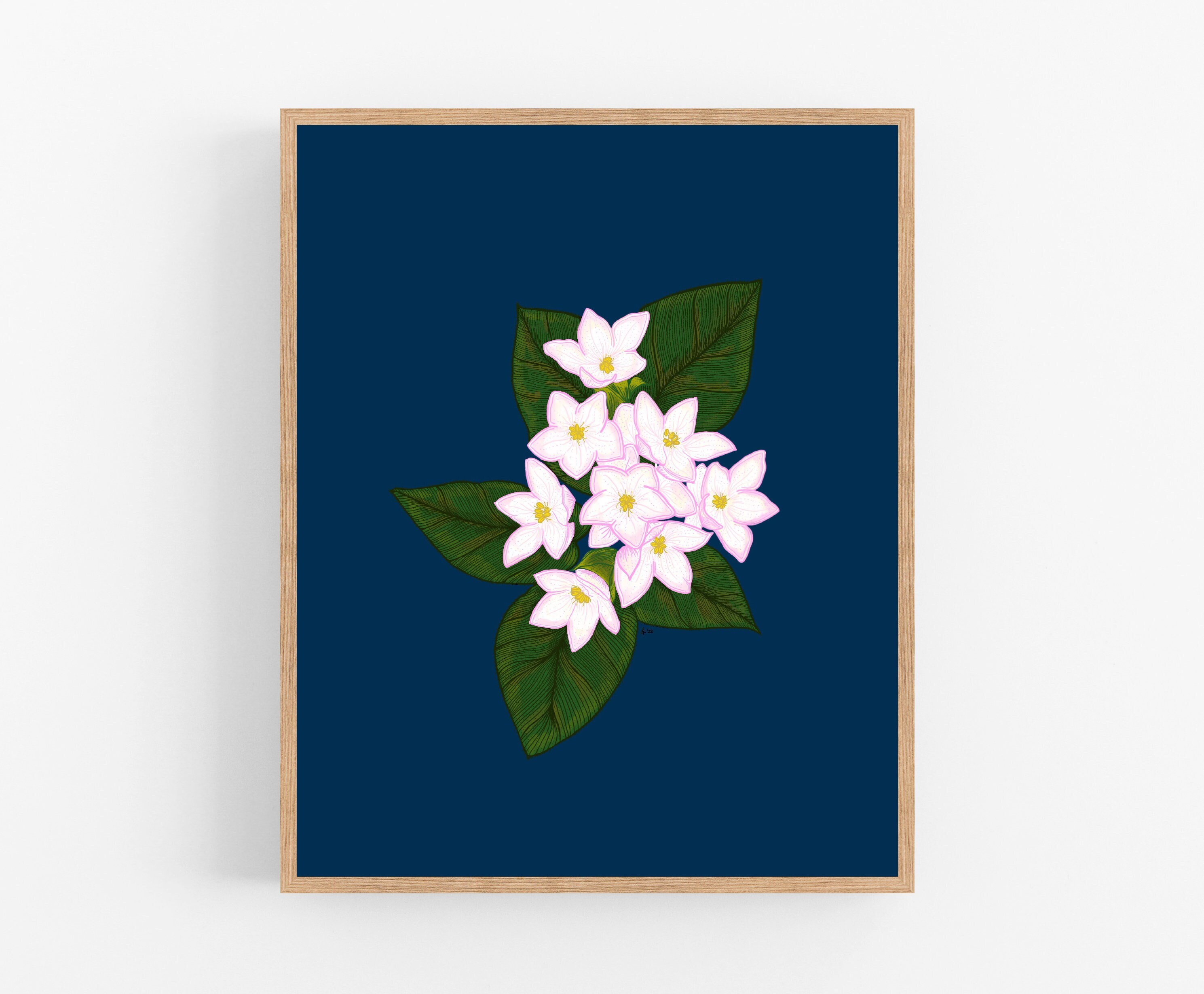 Mayflower Plant Blue