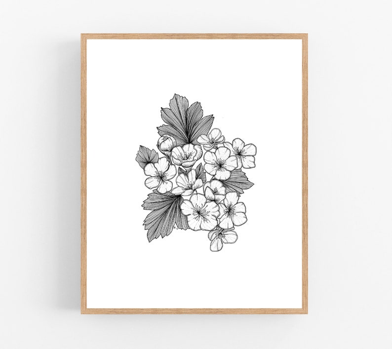Hawthorn Black Ink Illustration Digital Download / Missouri State ...