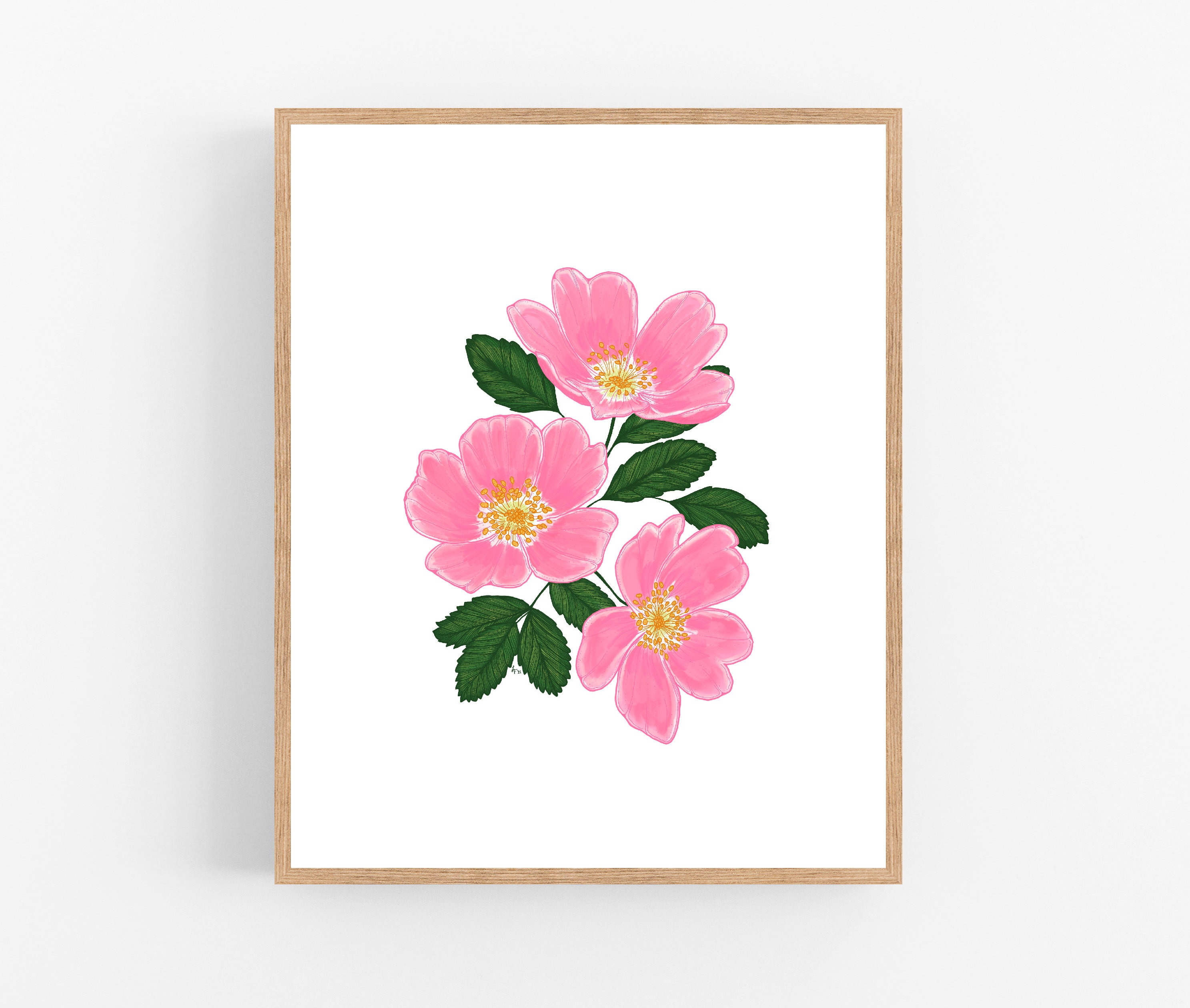 Wild Prairie Rose Illustration Print / Printable / Art / Digital ...