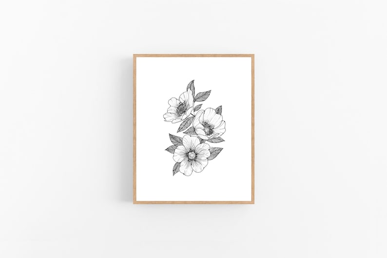 Cherokee Rose Ink Sketch Print / Georgia State Flower Print / - Etsy