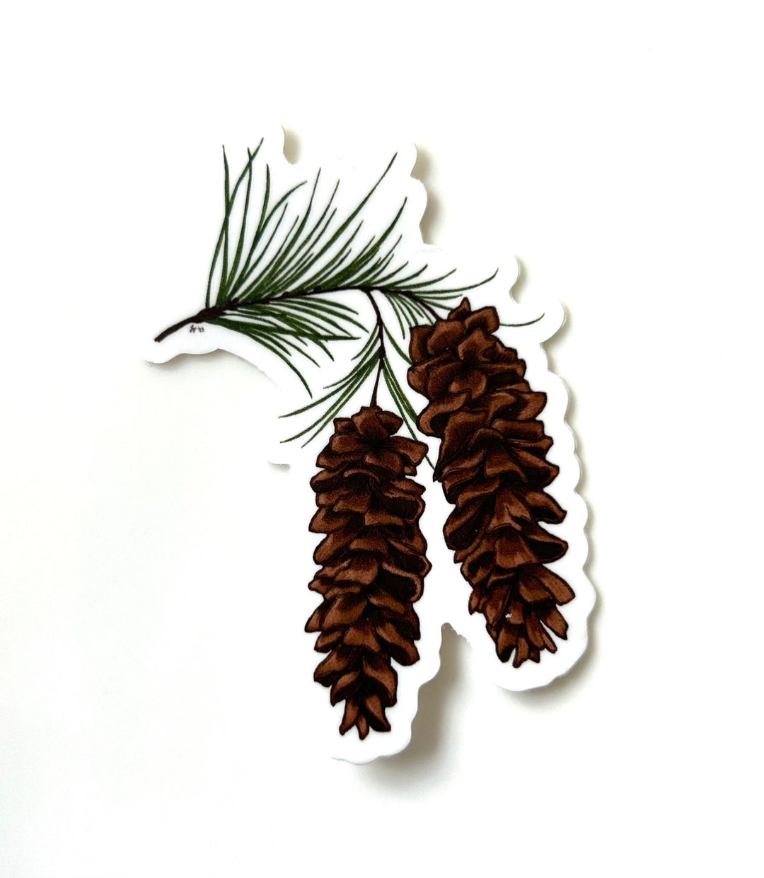 3" White Pine Cone and Tassel Vinyl Sticker / Waterproof Pine Cone ...