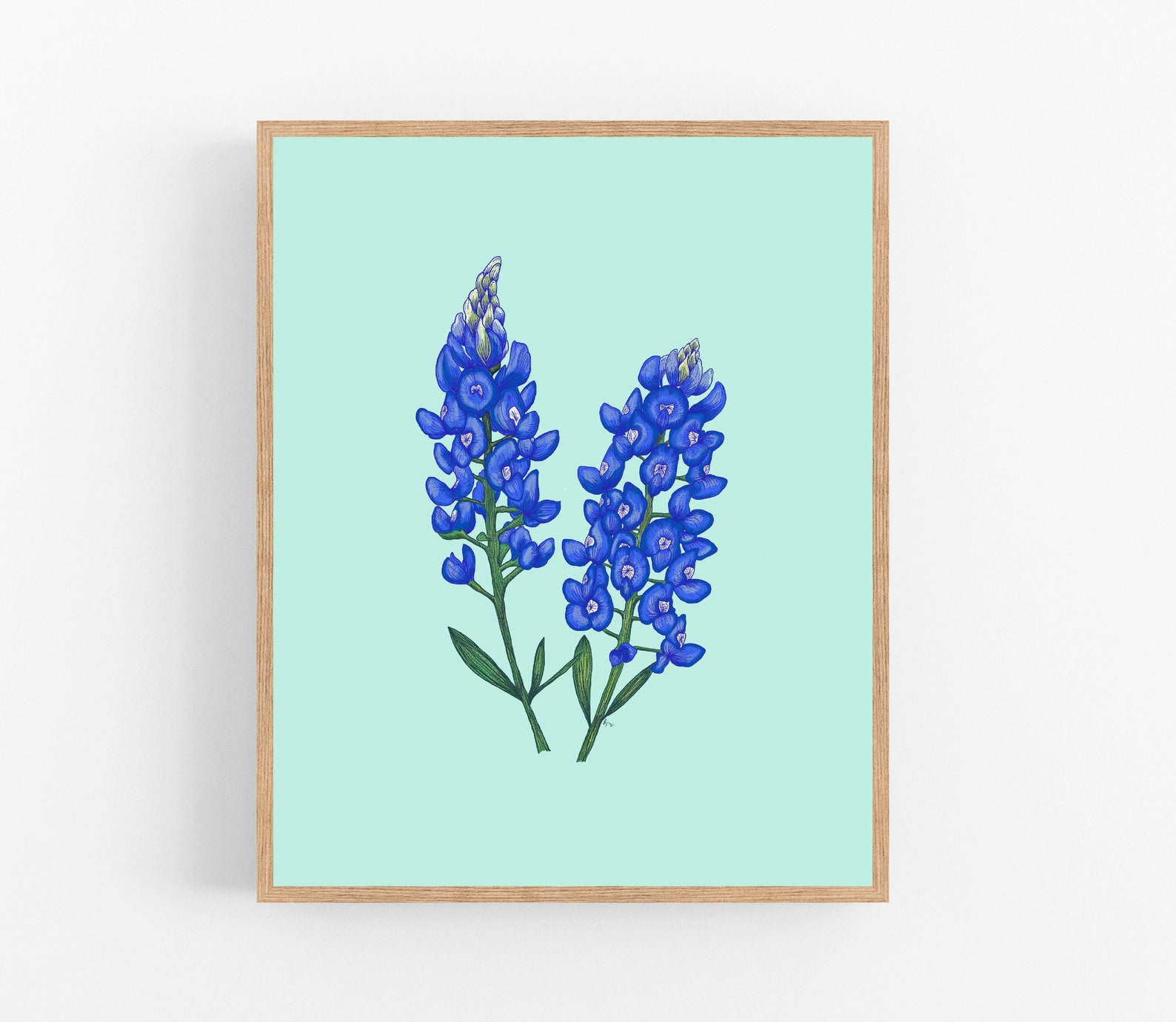 Bluebonnet Illustration / Printable / Art / Digital Download / - Etsy