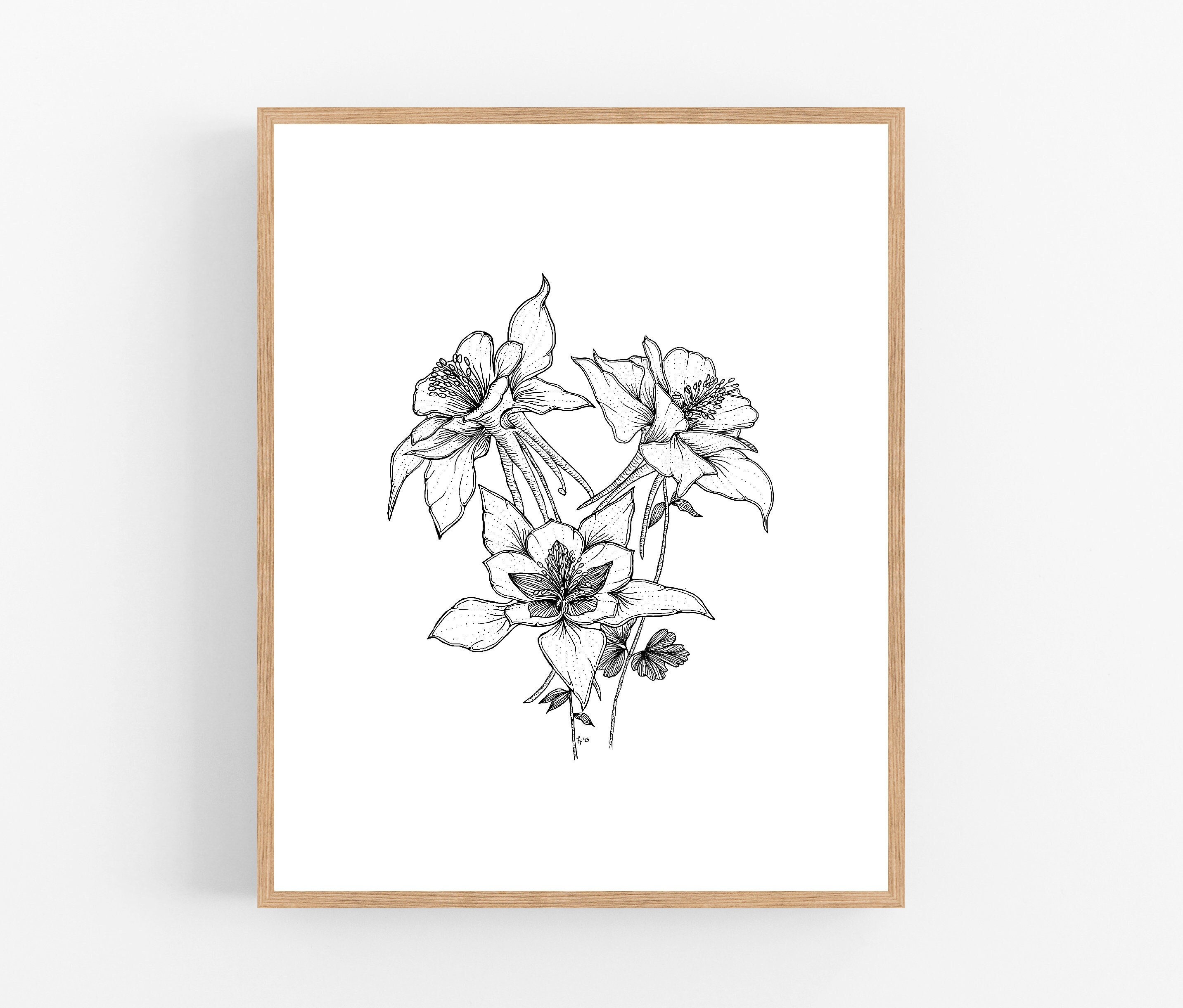 Columbine Ink Illustration Print / Printable / Art / Digital - Etsy