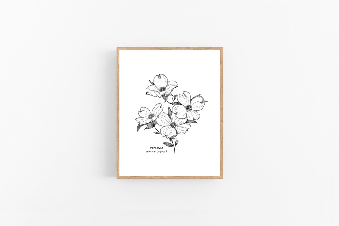 Virginia Dogwood Ink Sketch Print / Printable / Art / Digital - Etsy