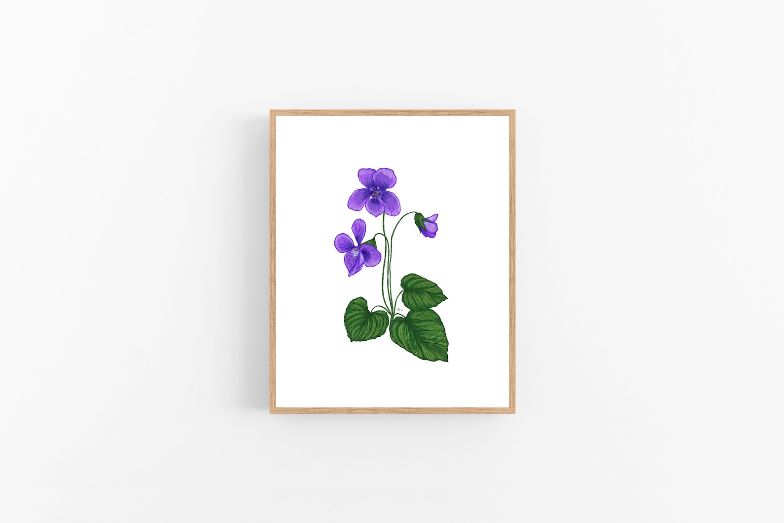 Violet Illustration / Printable / Art / Digital Download / Color Sketch ...
