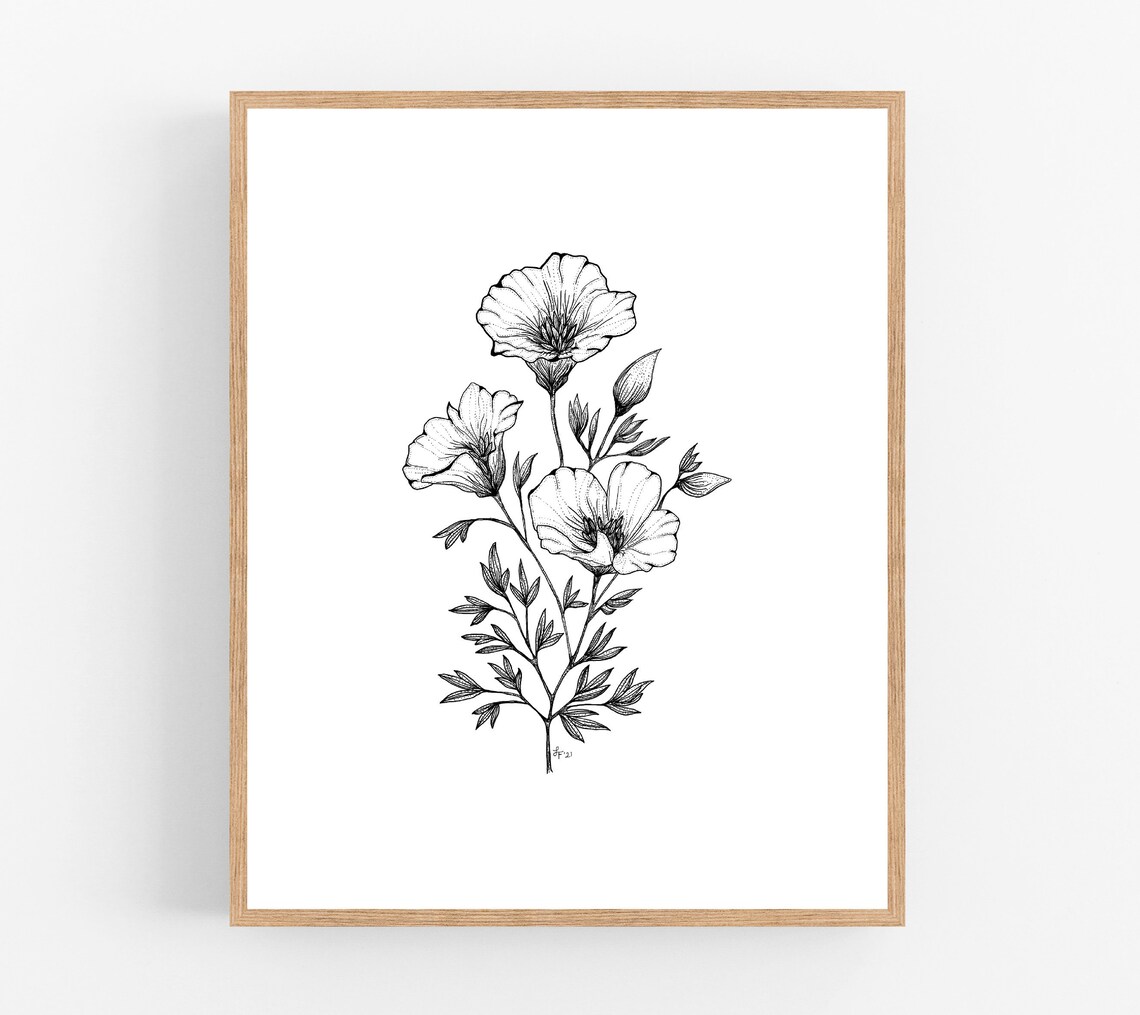 California Poppy Ink Sketch Print / Printable / Art / Digital | Etsy