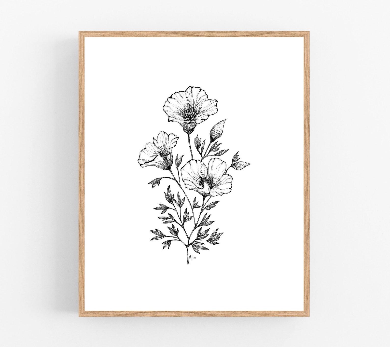 California Poppy Ink Sketch Print / Printable / Art / Digital - Etsy
