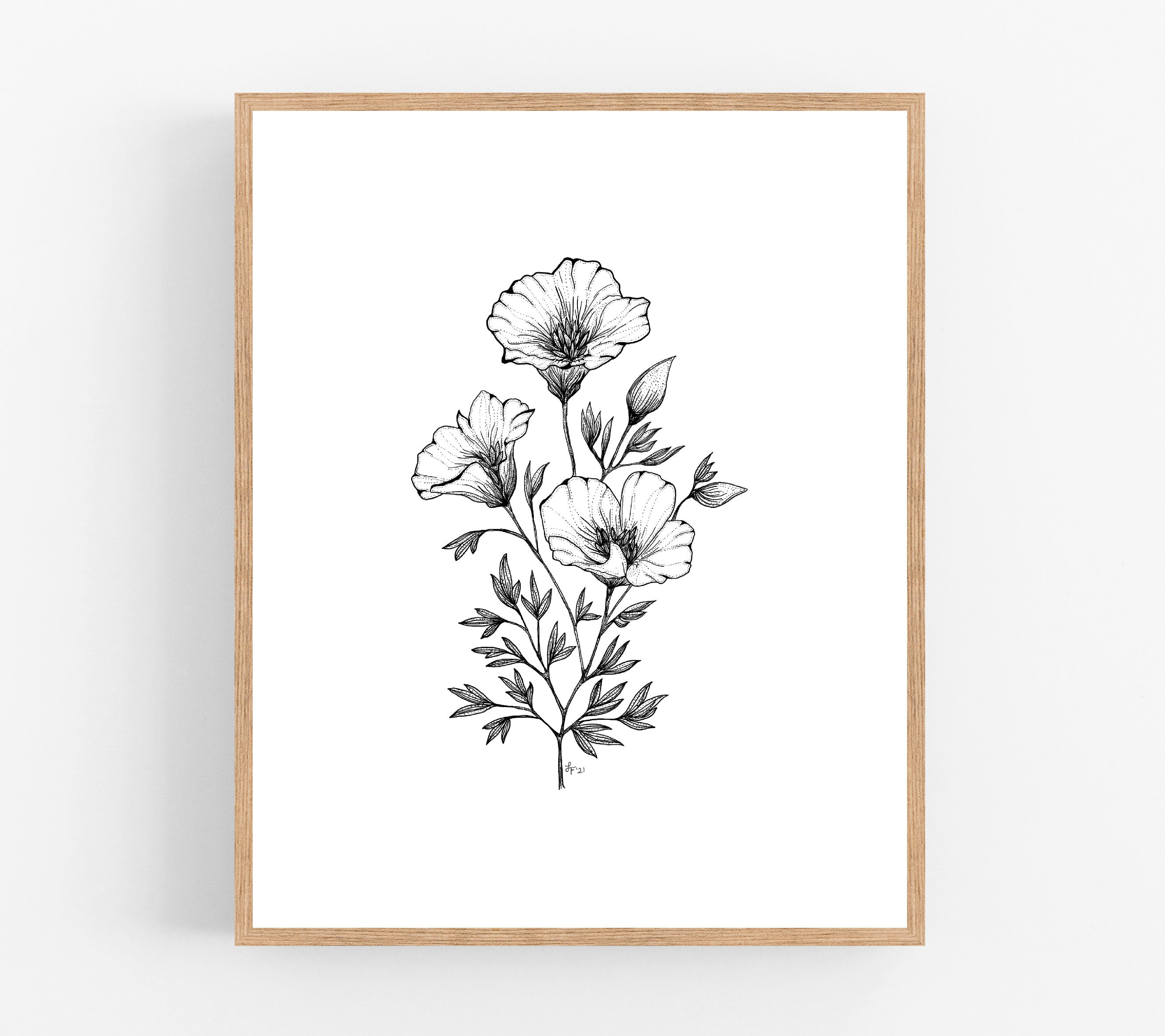 California Poppy Ink Sketch Print / Printable / Art / Digital - Etsy