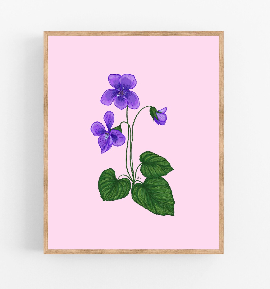 Violet Illustration / Printable / Art / Digital Download / Color Sketch ...