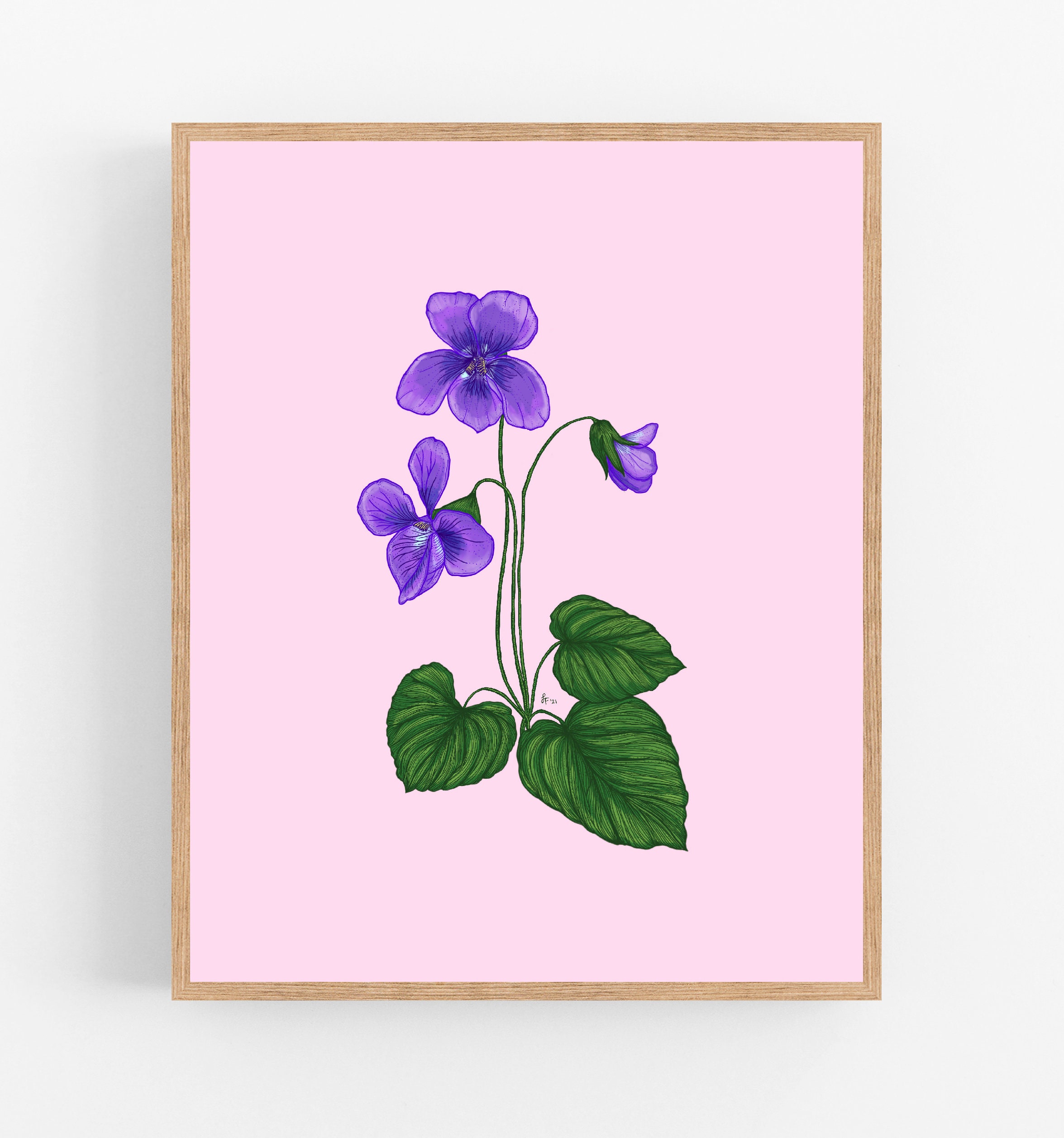Violet Illustration / Printable / Art / Digital Download / Color Sketch ...