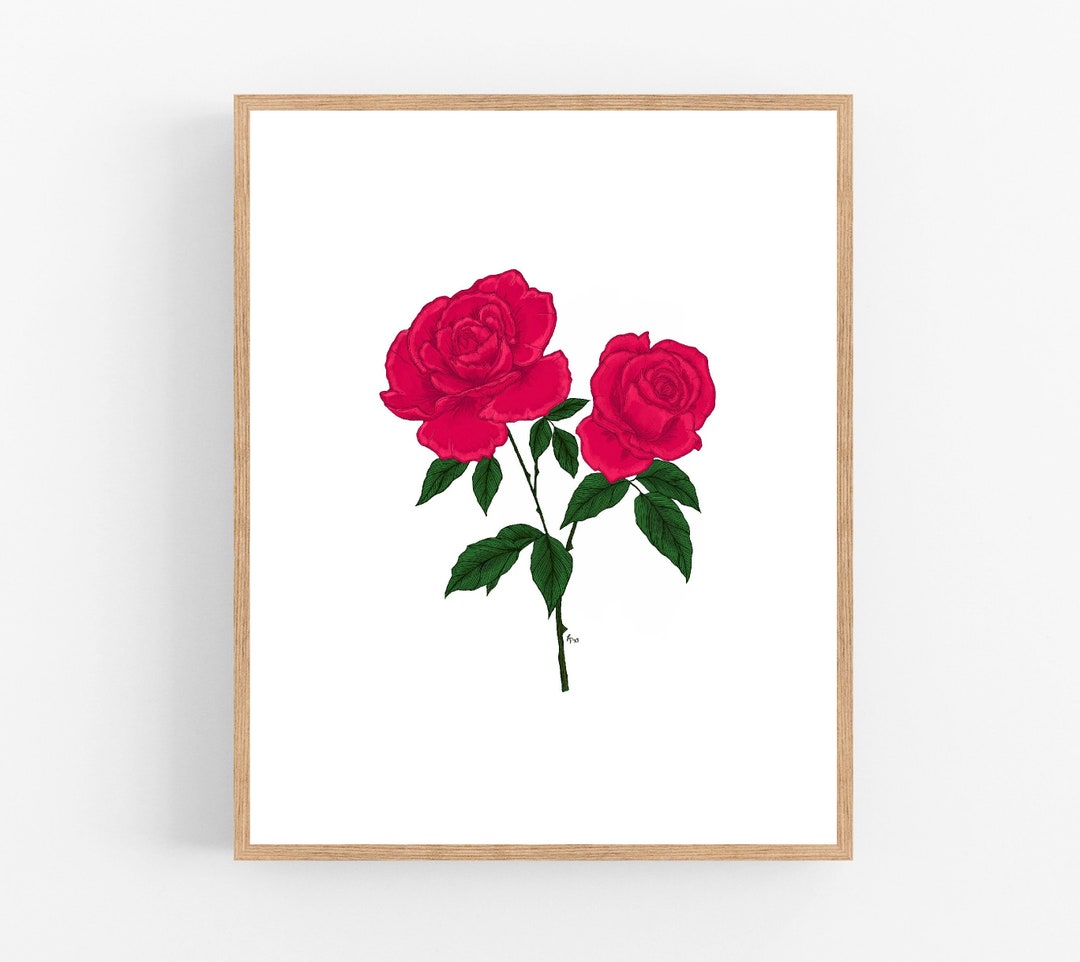 Red Rose Color Illustration / Printable / Art / Digital Download ...