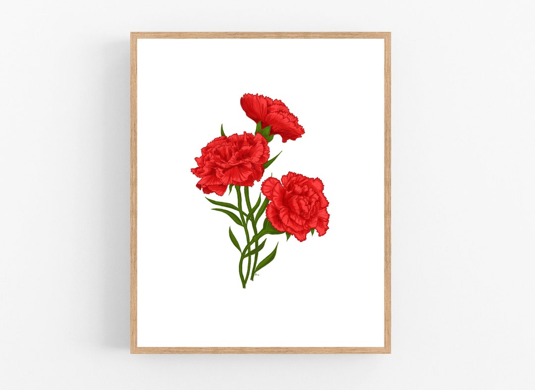 Scarlet Carnation Illustration Print / Printable / Art / Digital ...