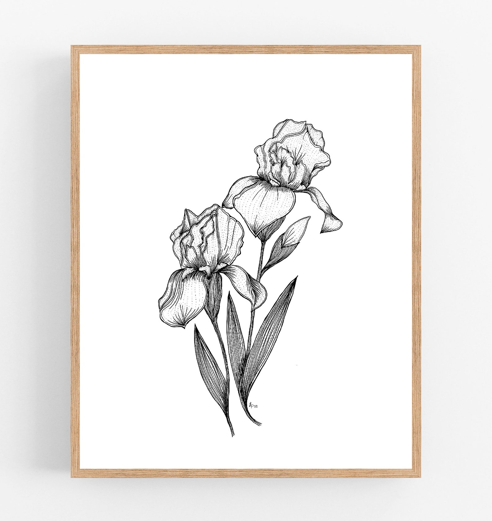 Iris Ink Sketch Illustration Print / Printable / Art / Digital - Etsy