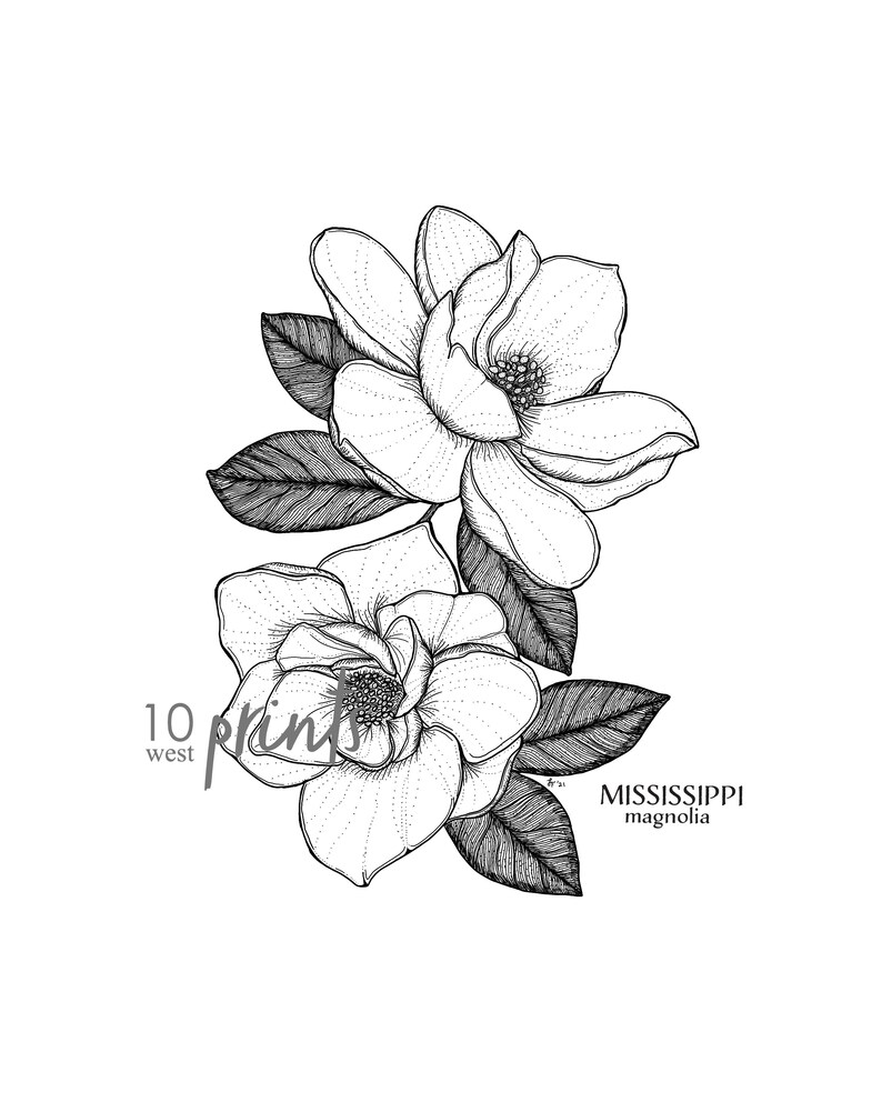 Mississippi Magnolia Ink Sketch Print / Printable / Art / - Etsy