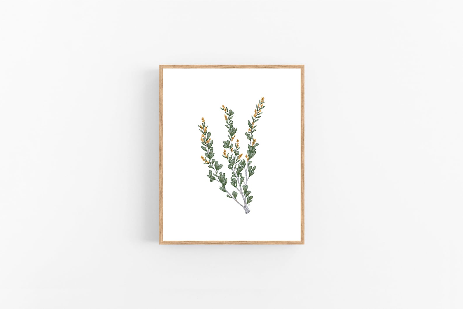 Sagebrush Branch Illustration / Printable / Art / Digital | Etsy