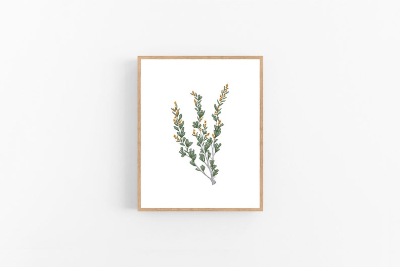 Sagebrush Branch Illustration / Printable / Art / Digital | Etsy