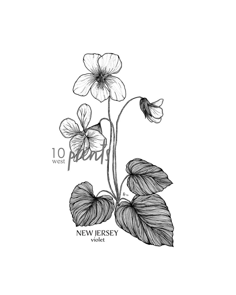 New Jersey Violet Ink Sketch Print / Printable / Art / Digital - Etsy