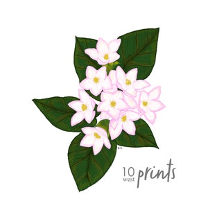 Mayflower Color Illustration / Printable / Art / Digital Download ...