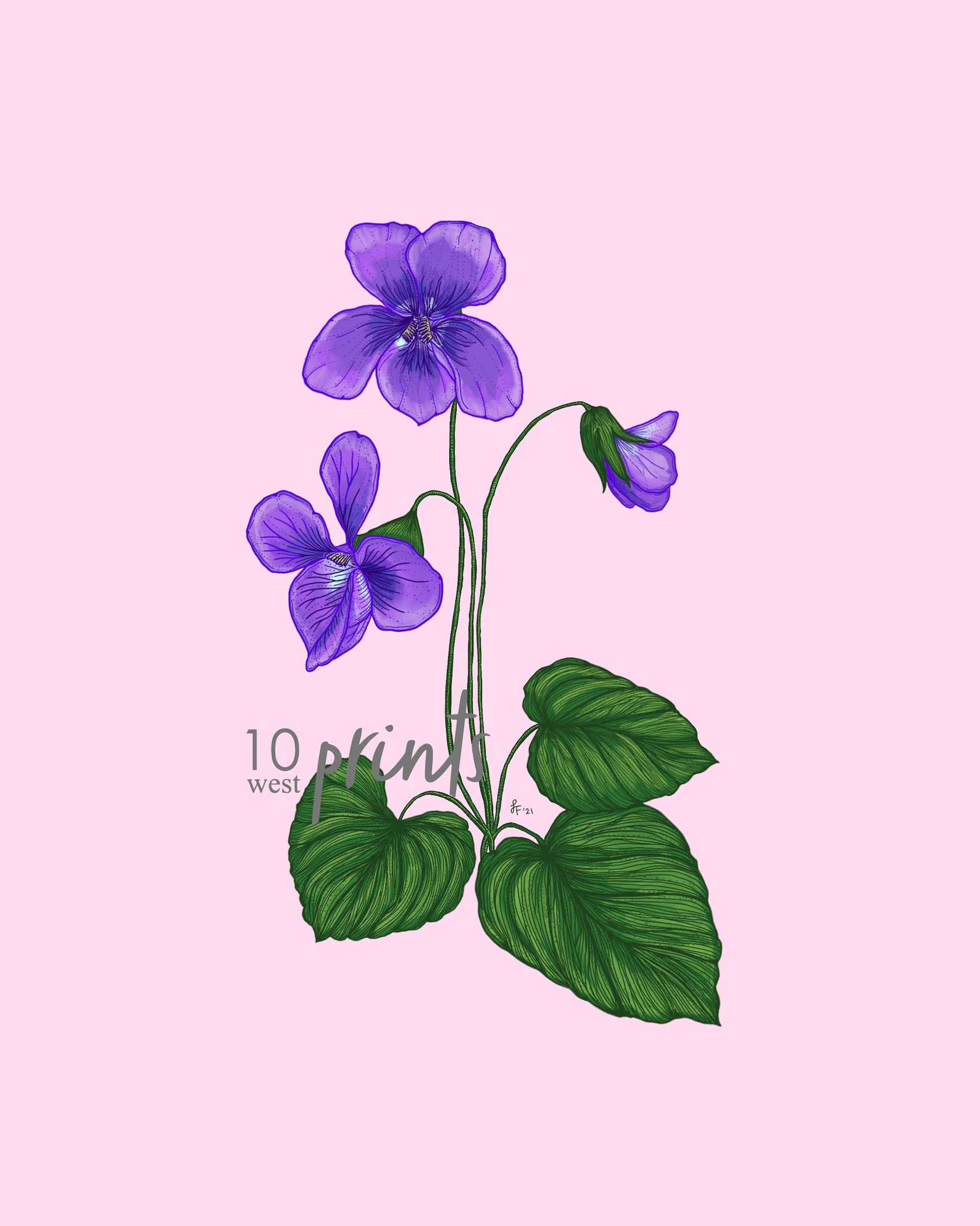 Violet Illustration / Printable / Art / Digital Download / - Etsy