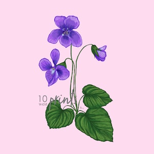 Violet Illustration / Printable / Art / Digital Download / Color Sketch ...