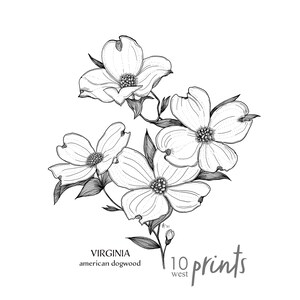 Virginia Dogwood Ink Sketch Print / Printable / Art / Digital Download ...