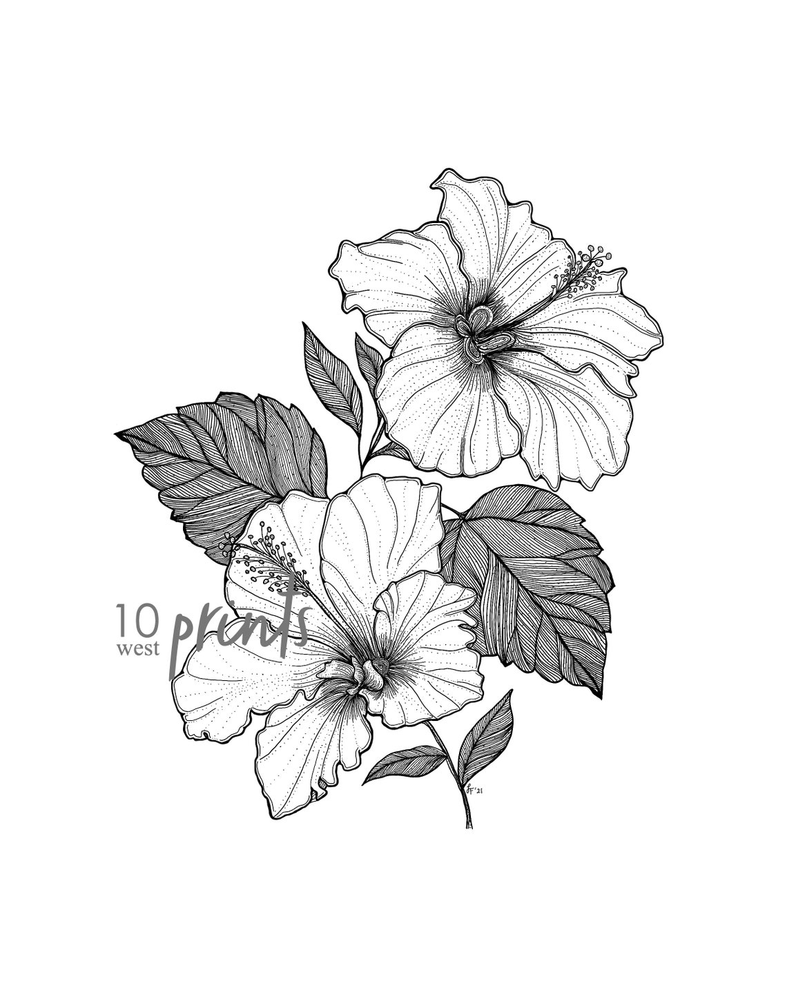 Hibiscus Ink Sketch Print / Printable / Art / Digital Download ...