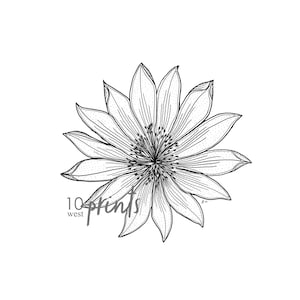 Bitterroot Ink Sketch Print / Printable / Art / Digital Download / Pen ...