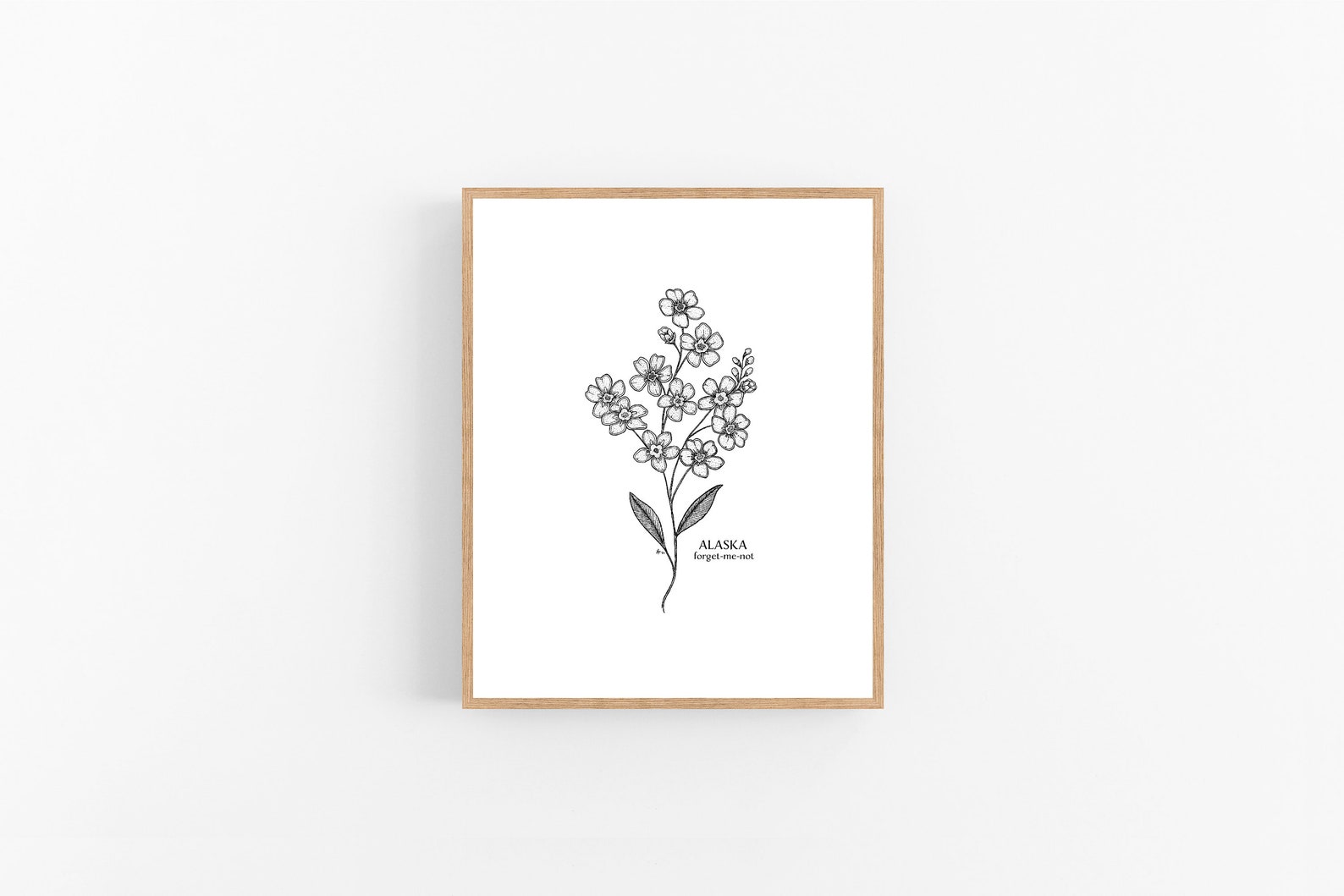 Alaska Forget-me-not Ink Sketch Print / Printable / Art / - Etsy