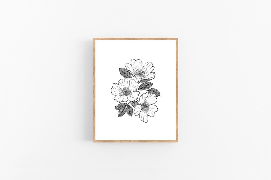 Wild Prairie Rose Black Ink Illustration Digital Download / North ...
