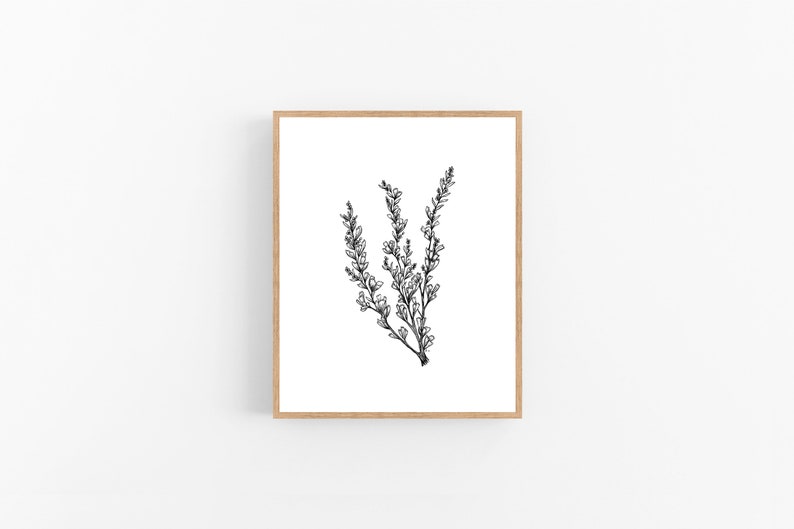 Sagebrush Ink Sketch Print / Printable / Art / Digital | Etsy