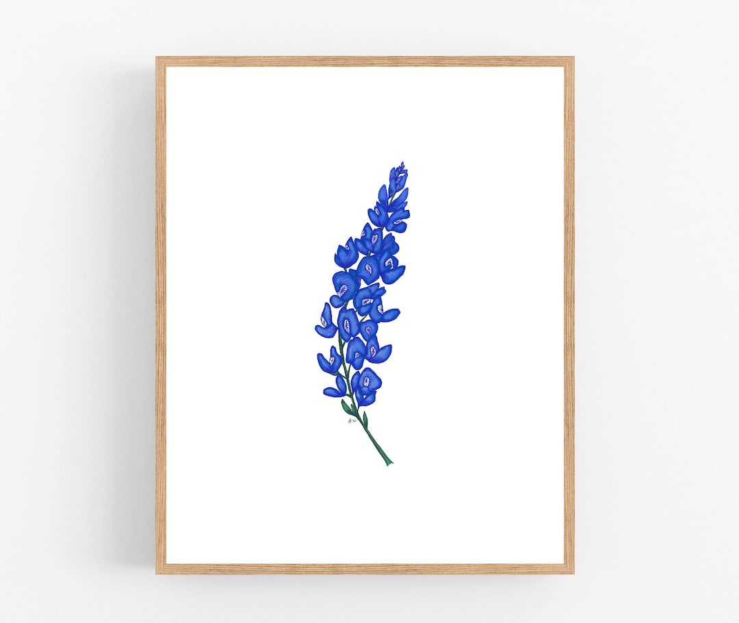 Single Bluebonnet Illustration / Printable / Art / Digital Download ...